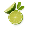Perfumes with Citrus Note - Niche & Designer Decants | Scento