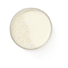 Perfumes with Milk Note - Niche & Designer Decants | Scento