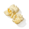 Perfumes with Popcorn Note - Niche & Designer Decants | Scento